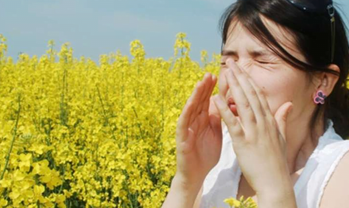 Low Pollen, High Problems: Even Minimal Pollen Levels Can Trigger Majo ...